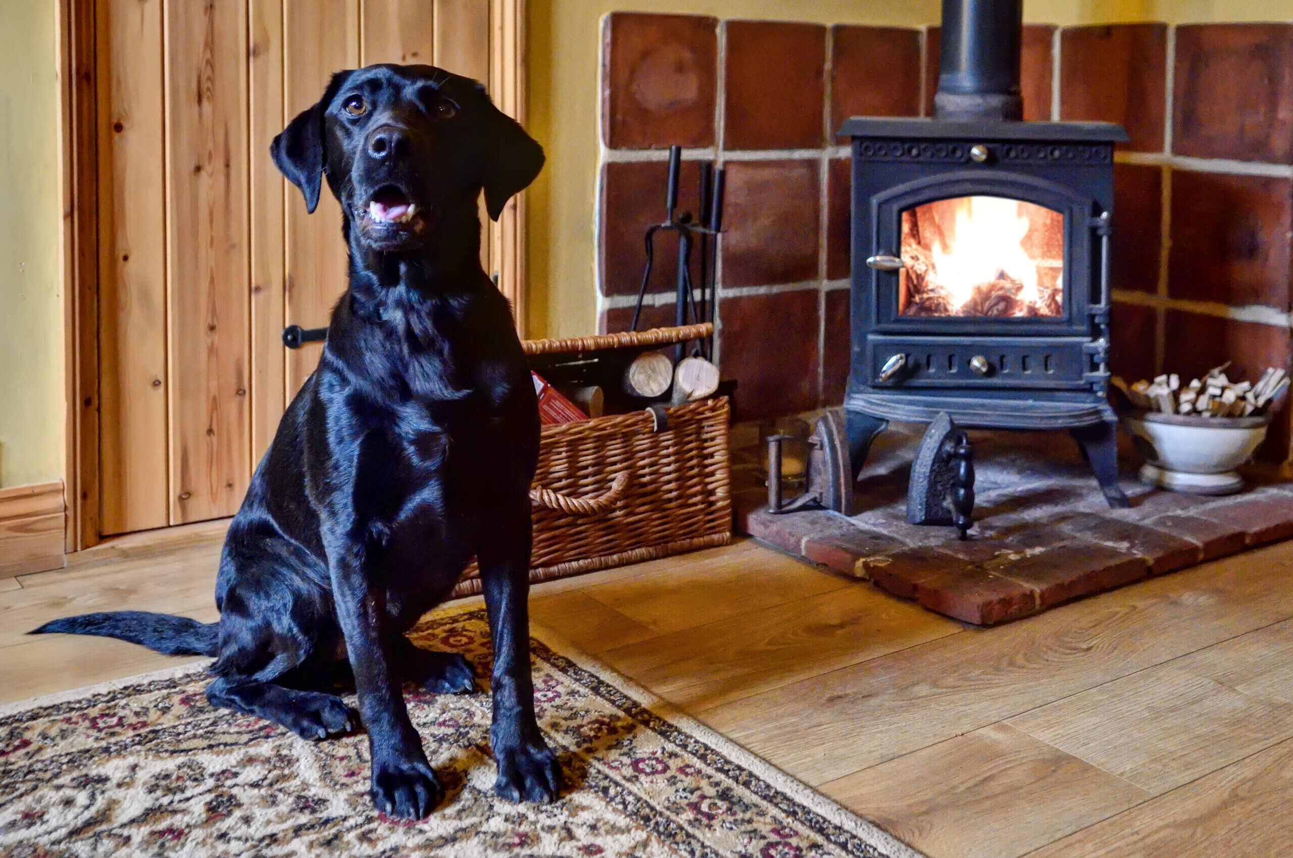 Pets Welcome - Dog Friendly Holidays @ Woof Farm Barns!