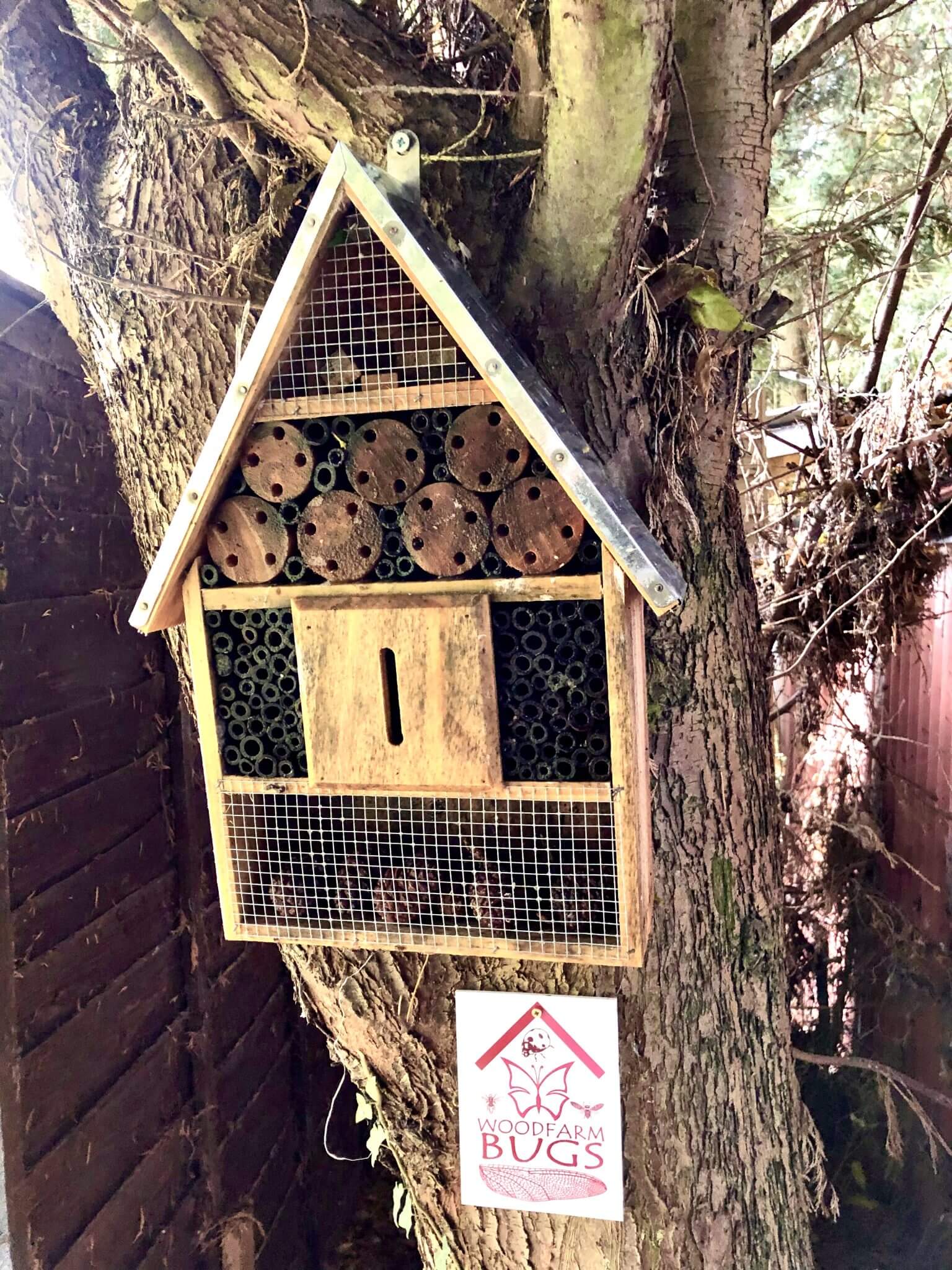 Bug Hotel @ Woodfarm Barns | Woodfarm Barns