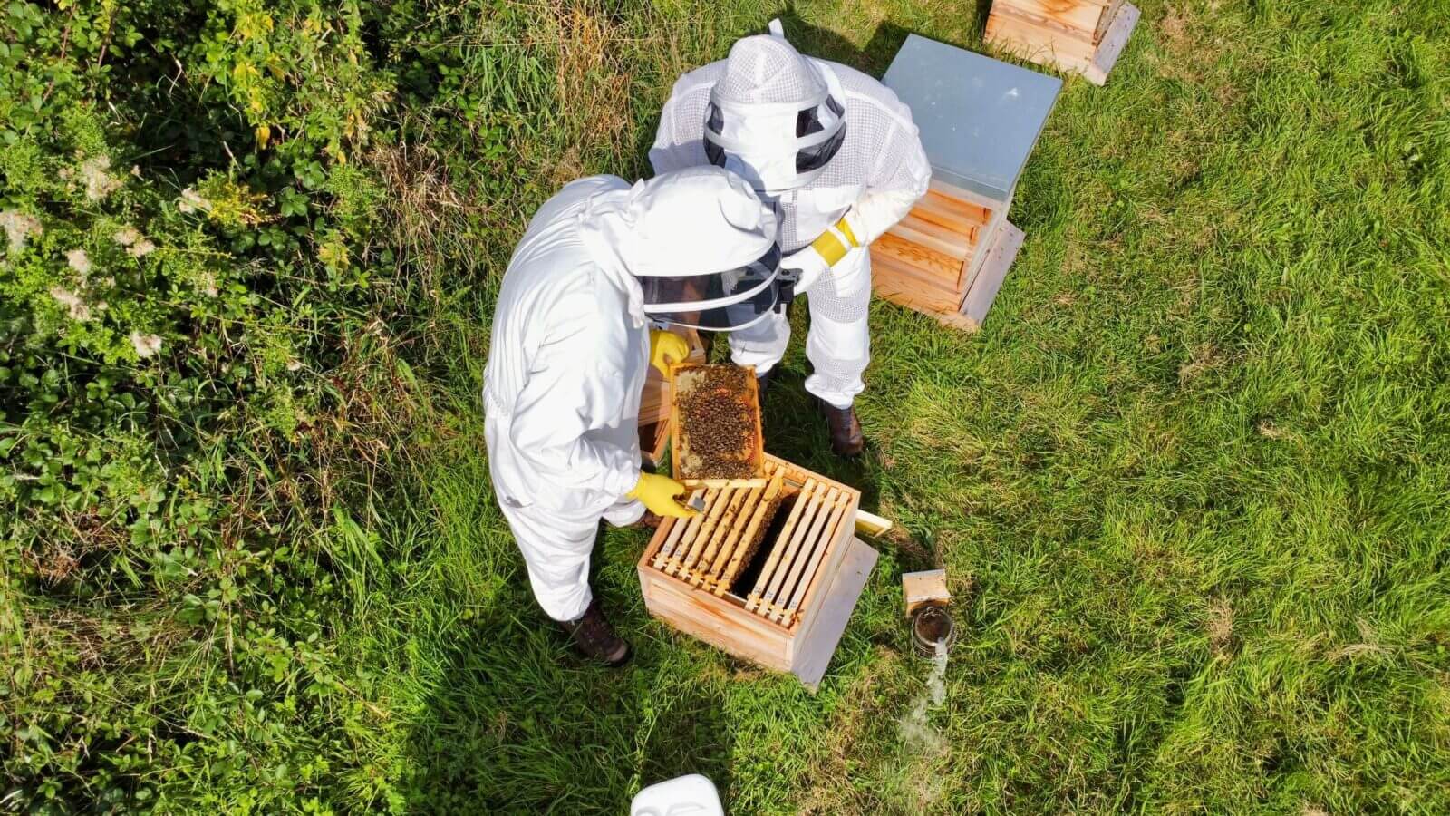 Beekeeping in the Suffolk countryside | Woodfarm Barns