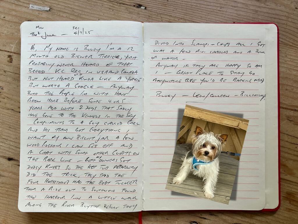 Bluey the Biewer Terrier reviewing Woodfarm Barns | Woodfarm Barns